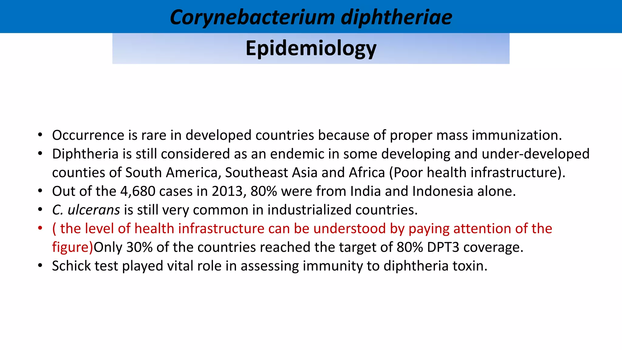Corynebacterium diphtheriae | PPT