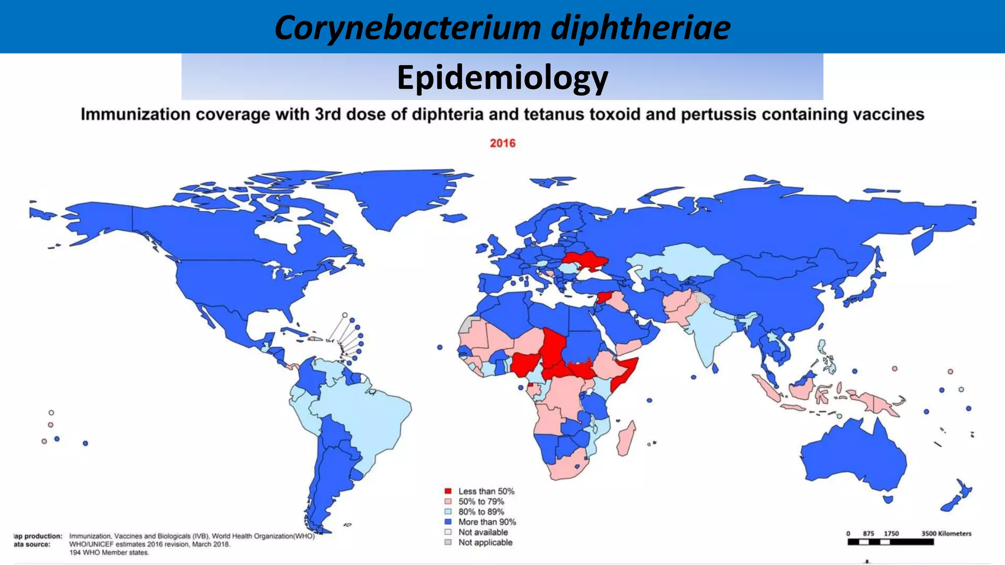 Corynebacterium diphtheriae | PPTX