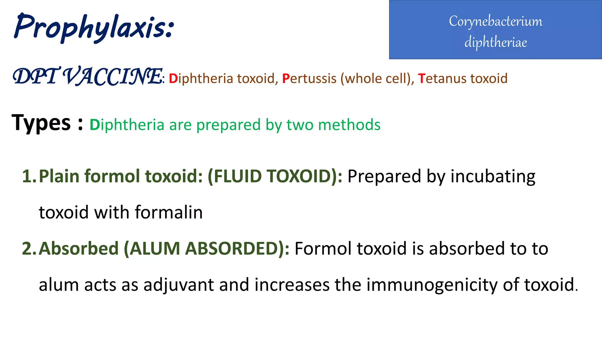 Corynebacterium | PPTX