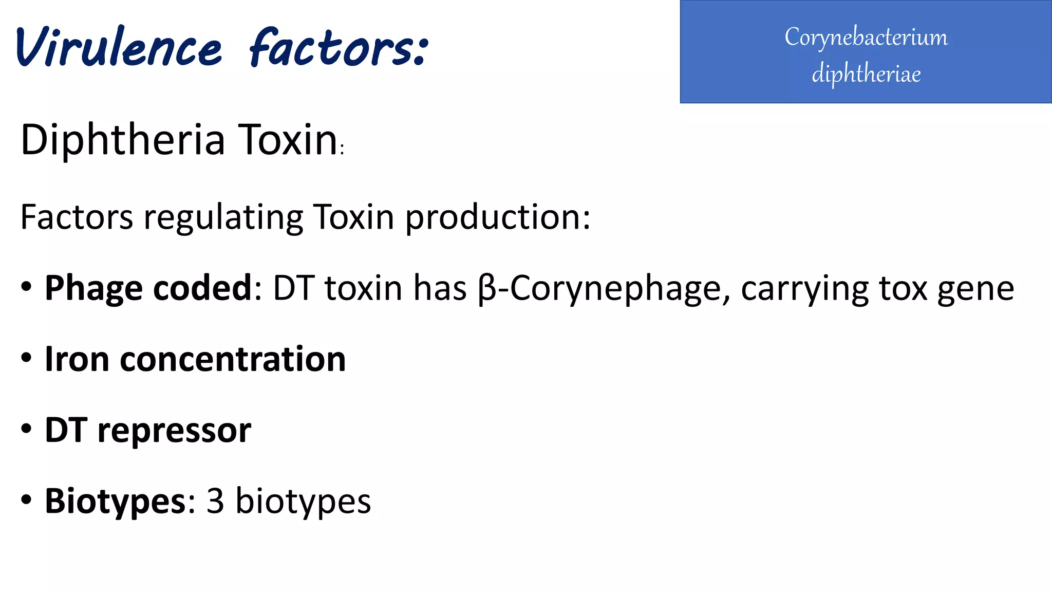 Corynebacterium | PPTX
