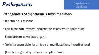 Corynebacterium | PPTX