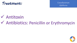 Corynebacterium | PPTX