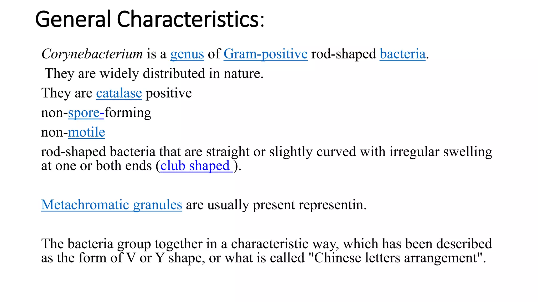 Corynebacterium.pptx