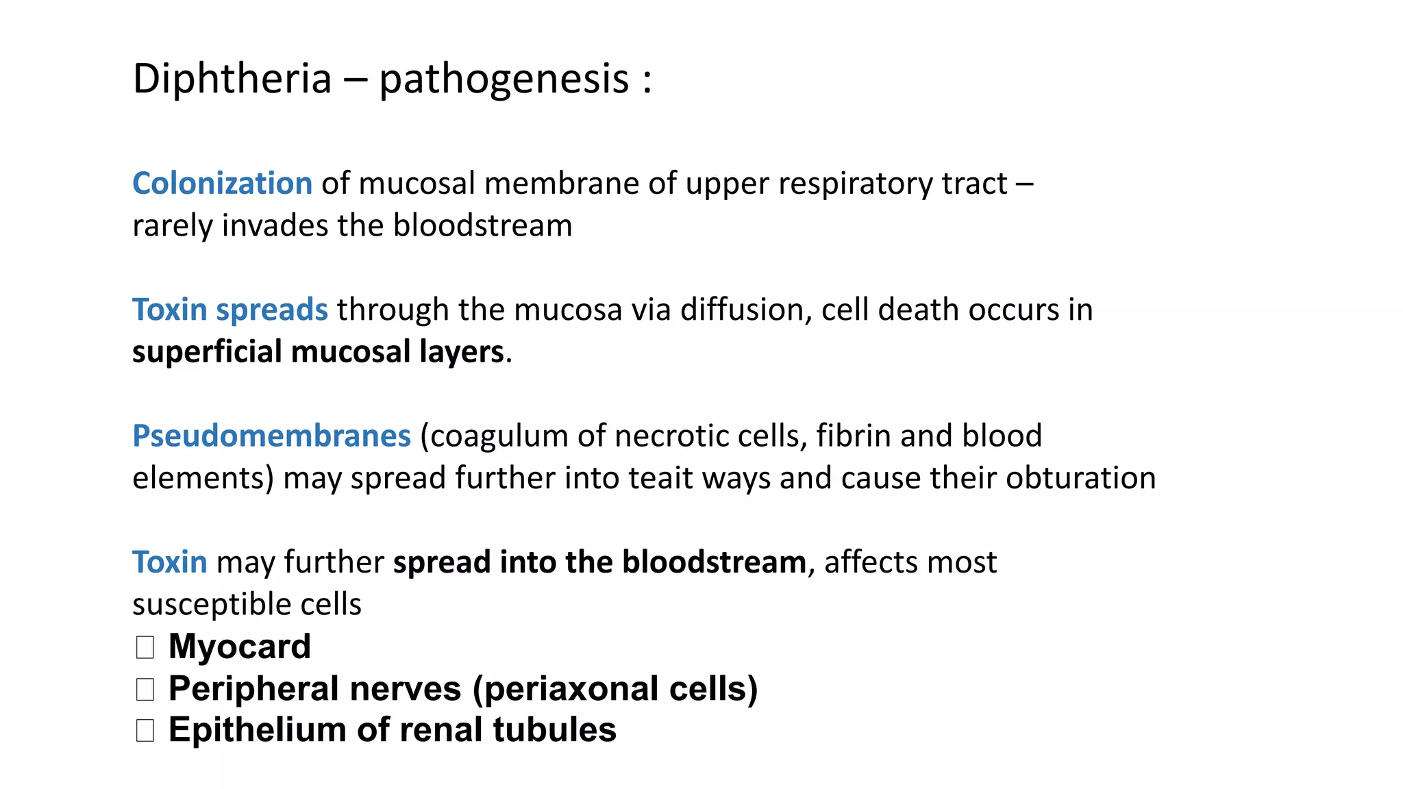 Corynebacterium.pptx