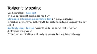 Corynebacterium.pptx | Ear, Nose and Throat Conditions | Diseases and ...