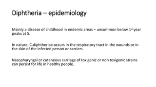 Corynebacterium.pptx | Ear, Nose and Throat Conditions | Diseases and ...