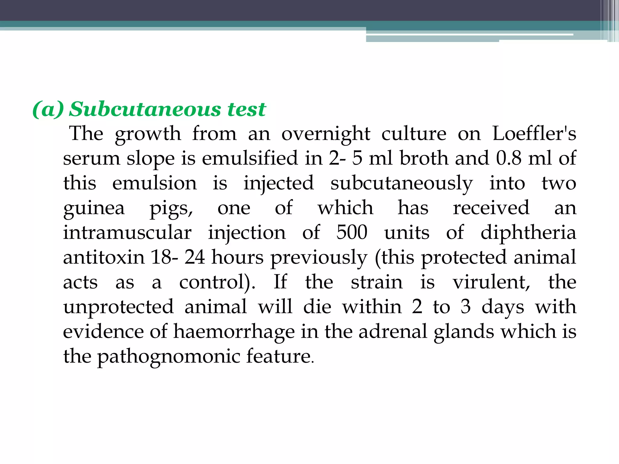 CORYNEBACTERIUM (Diphtheria).pptx