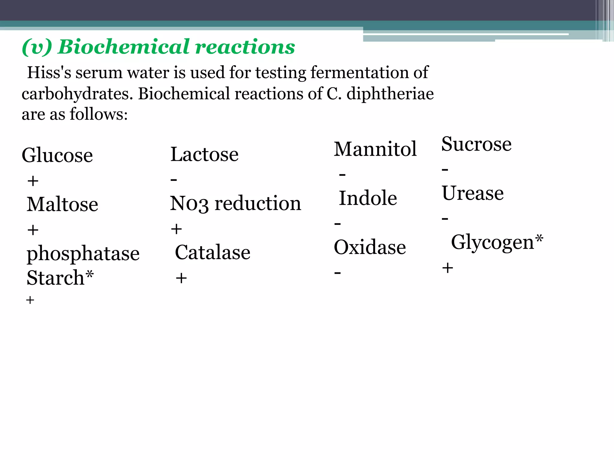 CORYNEBACTERIUM (Diphtheria).pptx