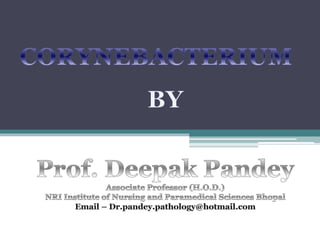 CORYNEBACTERIUM (Diphtheria).pptx