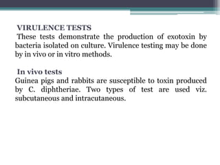 CORYNEBACTERIUM (Diphtheria).pptx