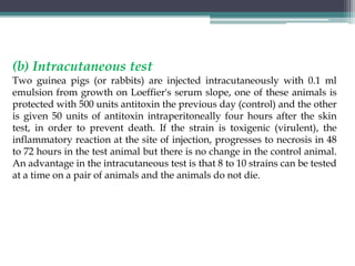 CORYNEBACTERIUM (Diphtheria).pptx