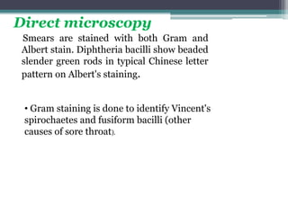 CORYNEBACTERIUM (Diphtheria).pptx