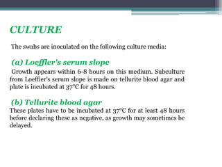 CORYNEBACTERIUM (Diphtheria).pptx