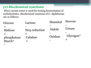 CORYNEBACTERIUM (Diphtheria).pptx