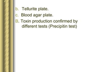 CORYNEBACTERIUM.by Dr munir KGMC peshawarpesha | PPT