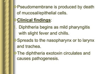 CORYNEBACTERIUM.by Dr munir KGMC peshawarpesha | PPT