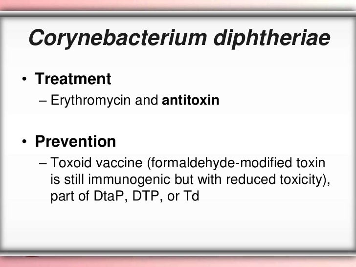 Corynebacterium (1)