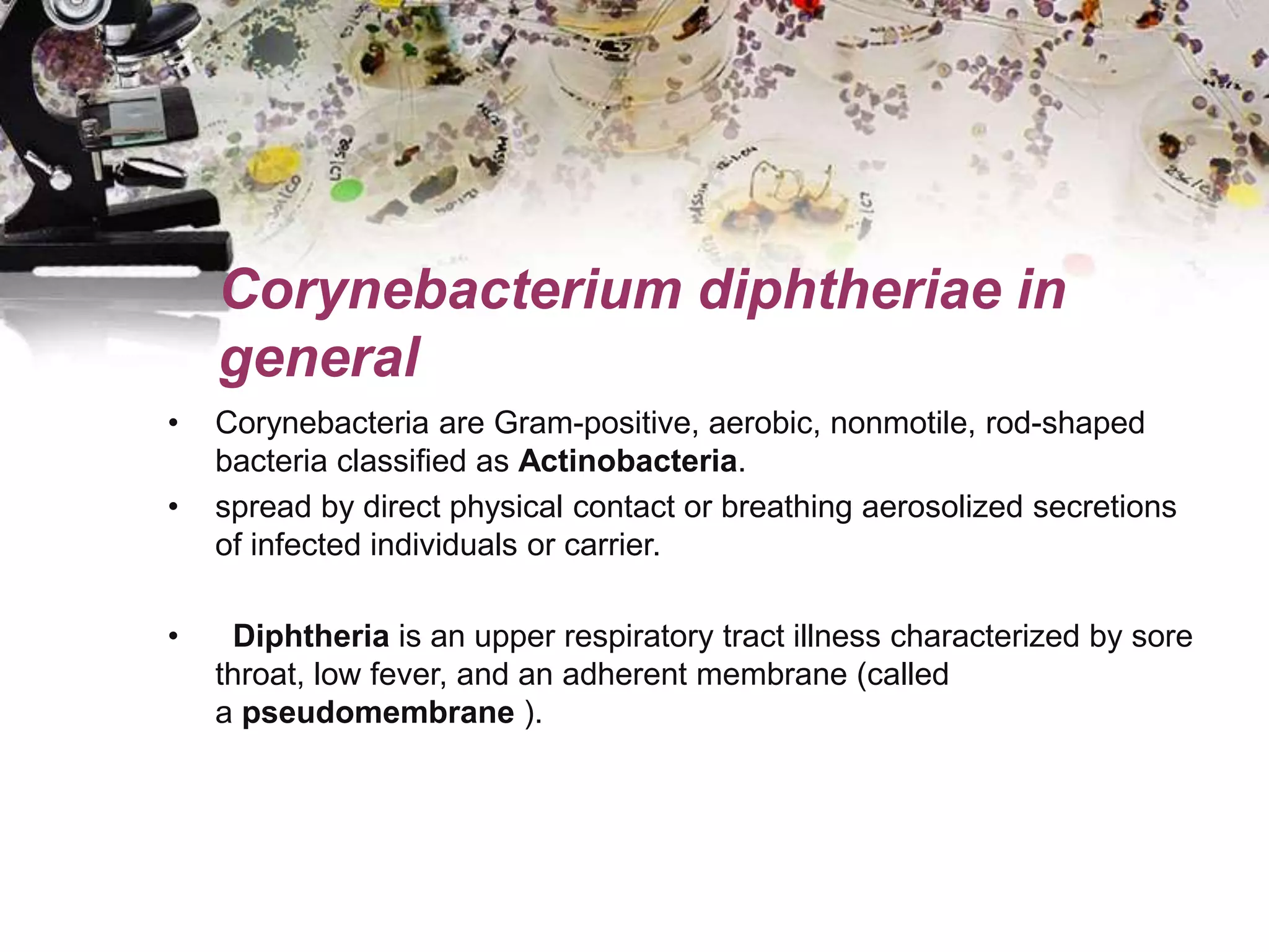 Corynebacterium diphtheriae | PPTX