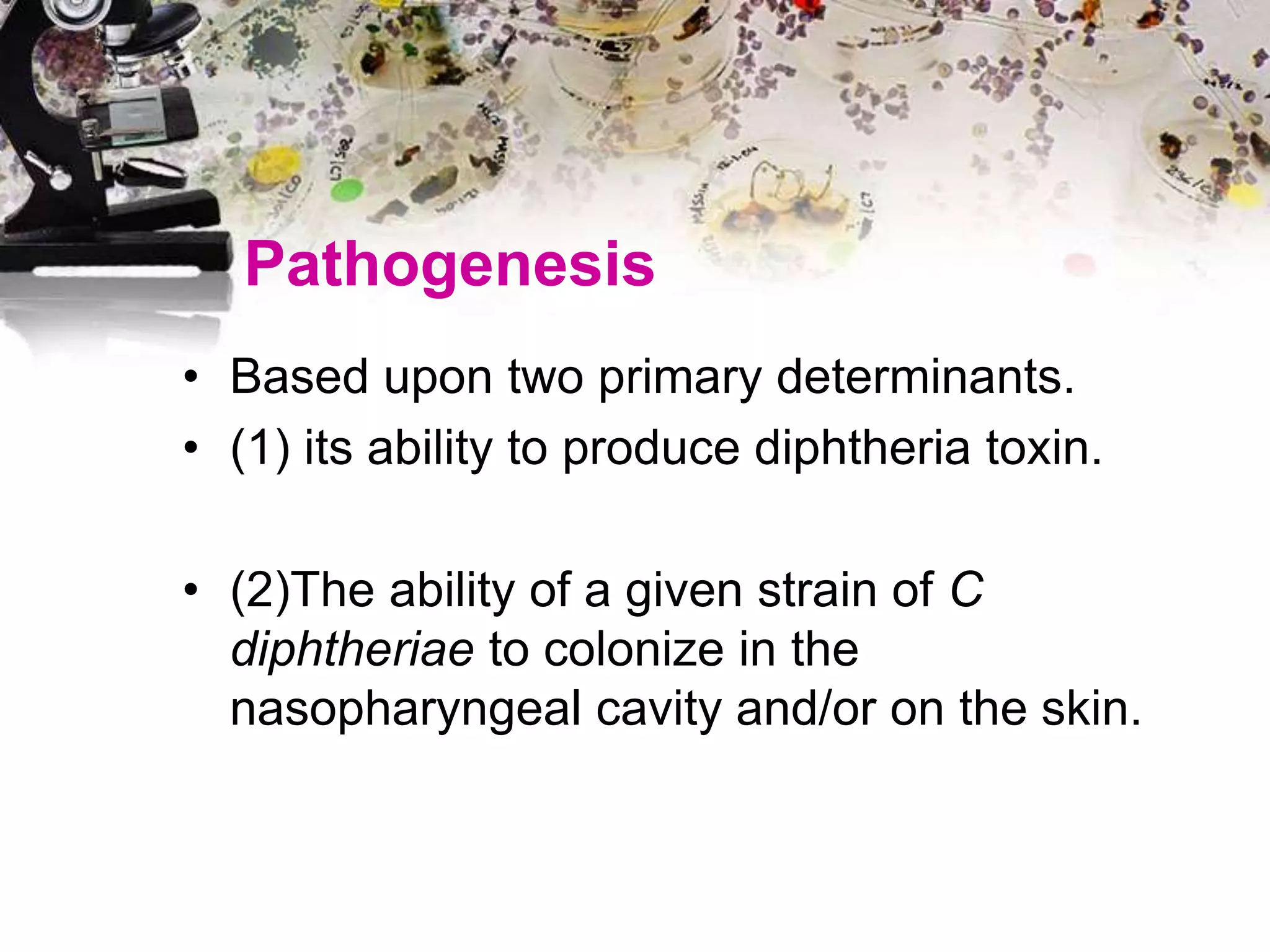 Corynebacterium diphtheriae | PPTX