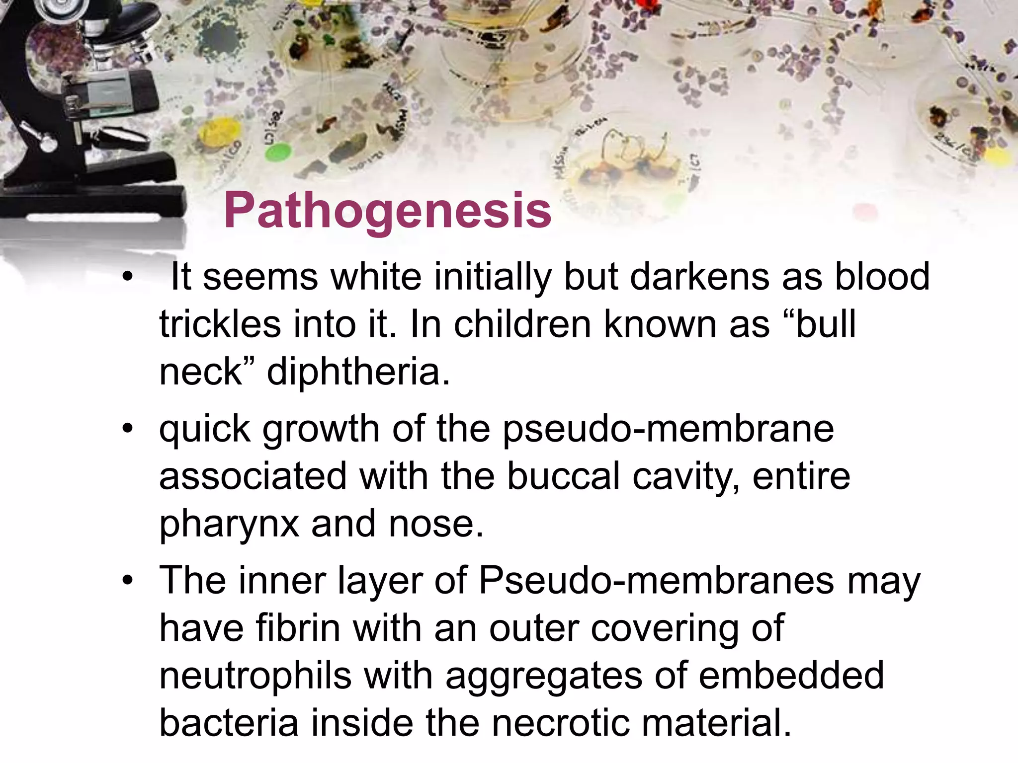 Corynebacterium diphtheriae | PPTX