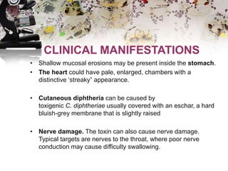 Corynebacterium diphtheriae | PPTX