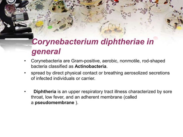 Corynebacterium diphtheriae | PPT