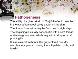 Corynebacterium diphtheriae | PPTX