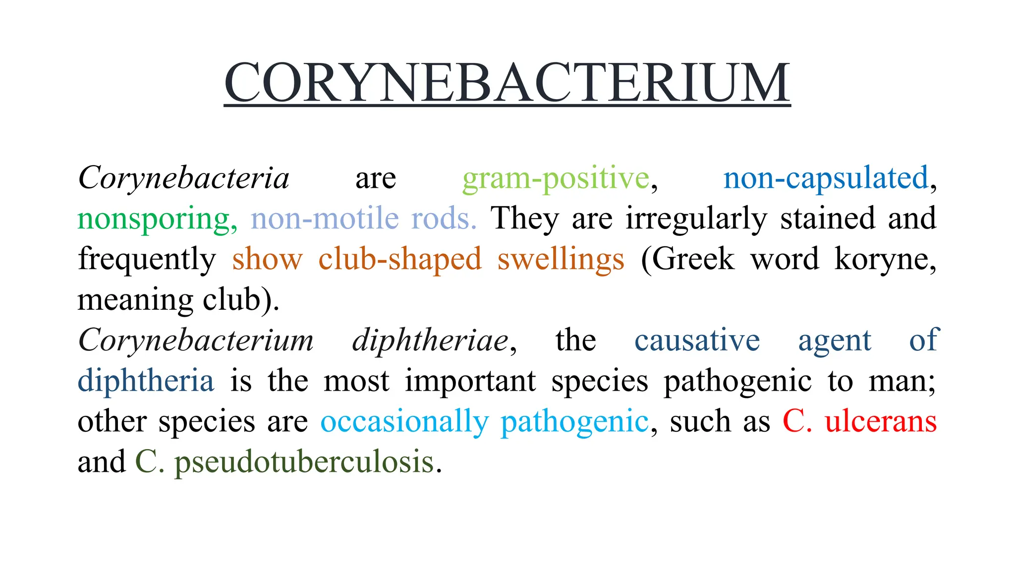 CORYNEBACTERIUM DIPHTHERIAE (Diphtheria) GPB.pptx
