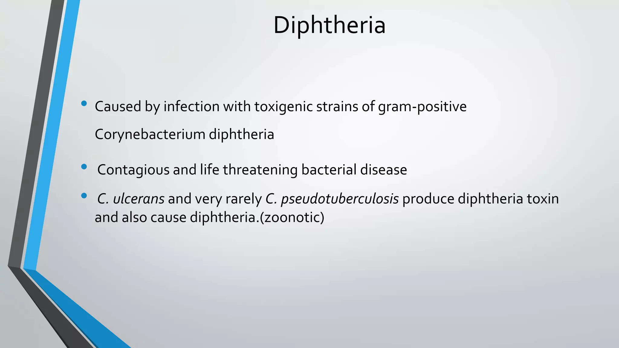Corynebacterium diphtheriae presentation | PPTX