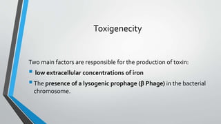 Corynebacterium diphtheriae presentation | PPTX