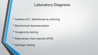 Corynebacterium diphtheriae presentation | PPTX