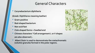 Corynebacterium diphtheriae presentation | PPTX