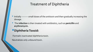 Corynebacterium diphtheriae presentation | PPTX | Ear, Nose and Throat ...