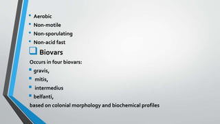 Corynebacterium diphtheriae presentation | PPTX