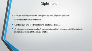 Corynebacterium diphtheriae presentation | PPTX