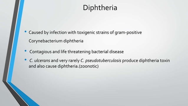Corynebacterium diphtheriae presentation | PPTX | Ear, Nose and Throat ...