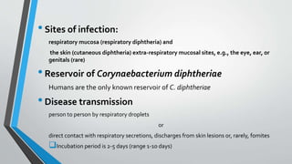 Corynebacterium diphtheriae presentation | PPTX