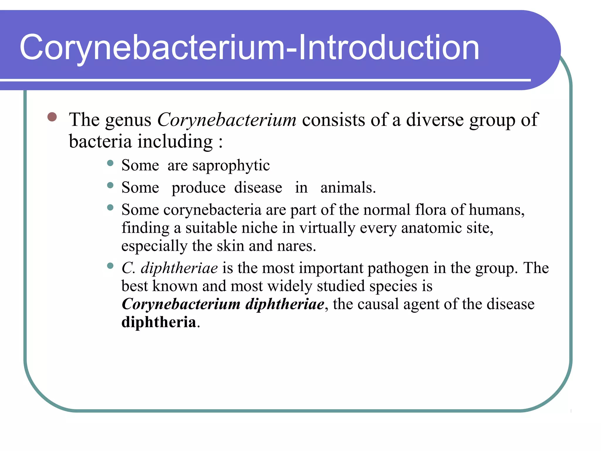 Corynebacterium diptheriae(Microbiology) | PPT