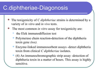 Corynebacterium diptheriae(Microbiology) | PPT