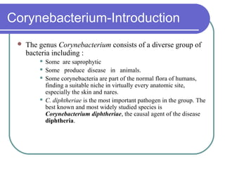 Corynebacterium diptheriae(Microbiology) | PPT