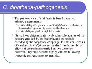 Corynebacterium diptheriae(Microbiology) | PPT