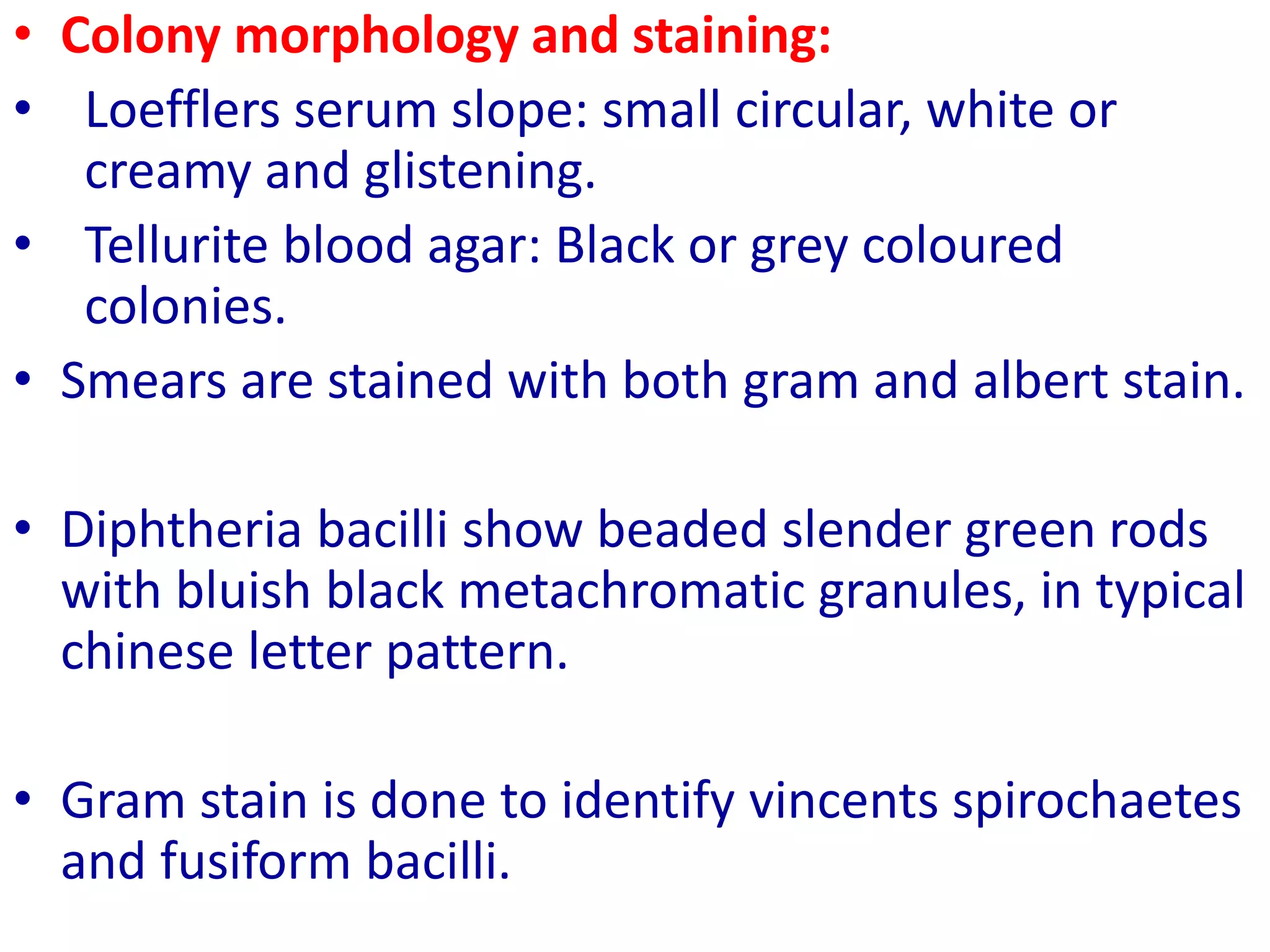Corynebacterium diptheriae | PPTX