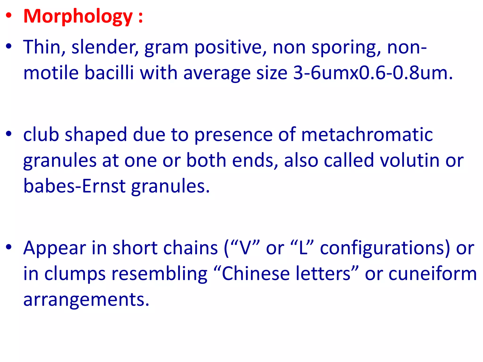Corynebacterium diptheriae | PPTX
