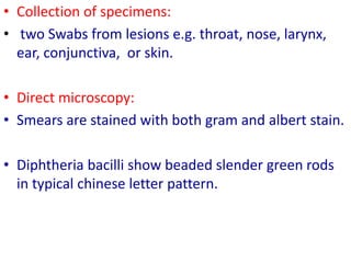 Corynebacterium diptheriae | PPTX | Ear, Nose and Throat Conditions ...