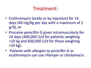 Corynebacterium diptheriae | PPTX