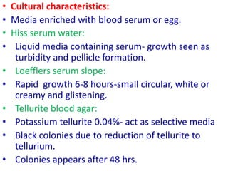 Corynebacterium diptheriae | PPTX