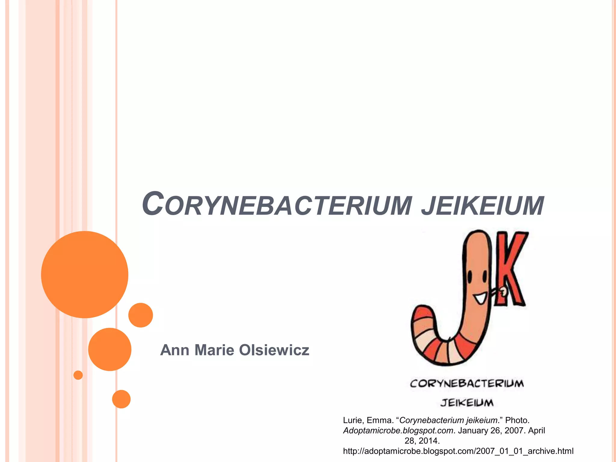 lCorynebacterium jeikeium | PPT
