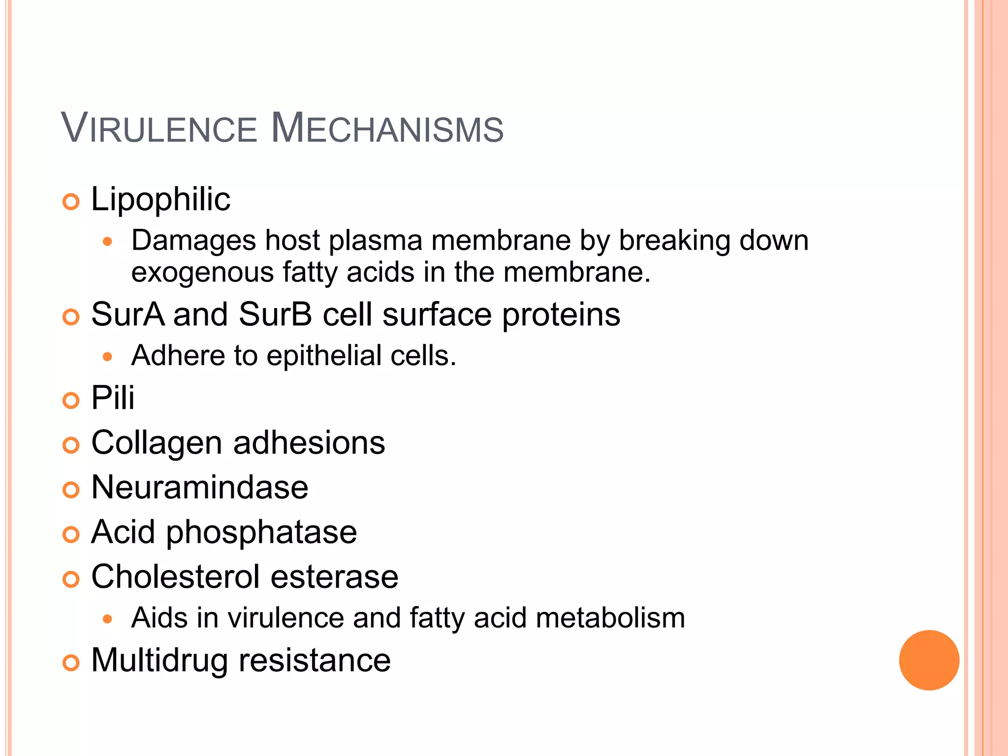 lCorynebacterium jeikeium | PPT