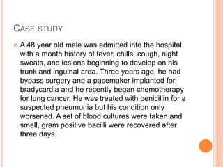 lCorynebacterium jeikeium | PPT