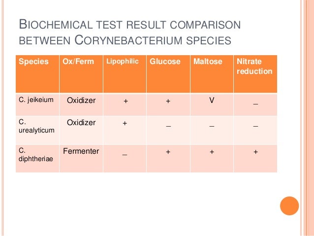 lCorynebacterium jeikeium